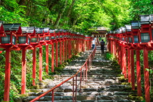 【恨みを晴らす】大阪や京都で呪い祈願に効果抜群と噂の神社7選!! - 魔女が教える願いが叶うおまじない